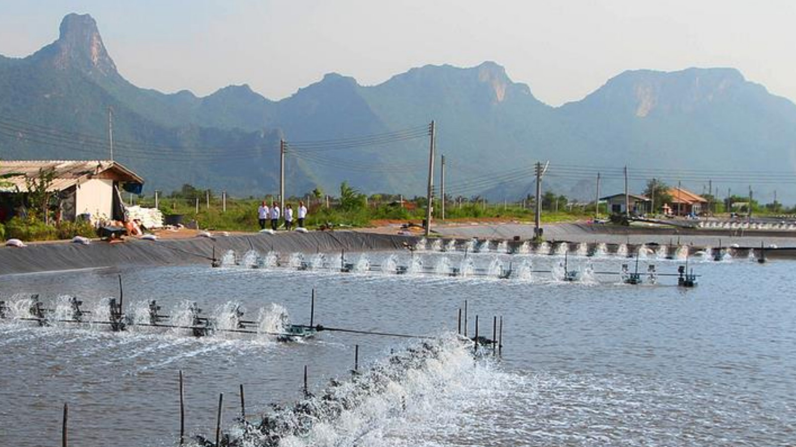 Global Production – The Center for Responsible Seafood